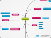 Eutanasia - Mind Map